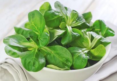 SONGINO un'insalata DEPURATIVA - Io Vivo Leggero